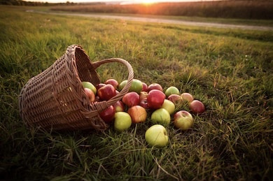 2018-part 2 The Bottom Drops Out – Anything Worth Saying